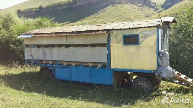 Пчелы с ульями - пасека