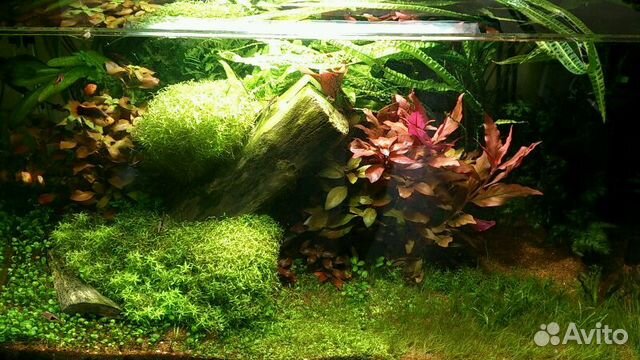 Аквариум светильник фильтр