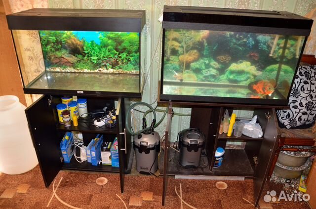 Аквариумы