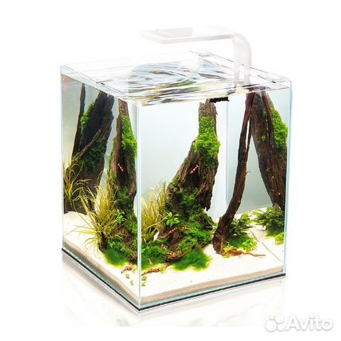 Аквариумы кубики 10, 20, 30 литров с наполнением