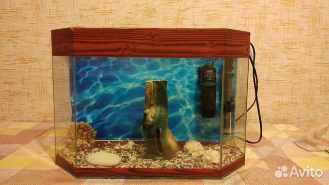 Аквариум 28л. + оборудование