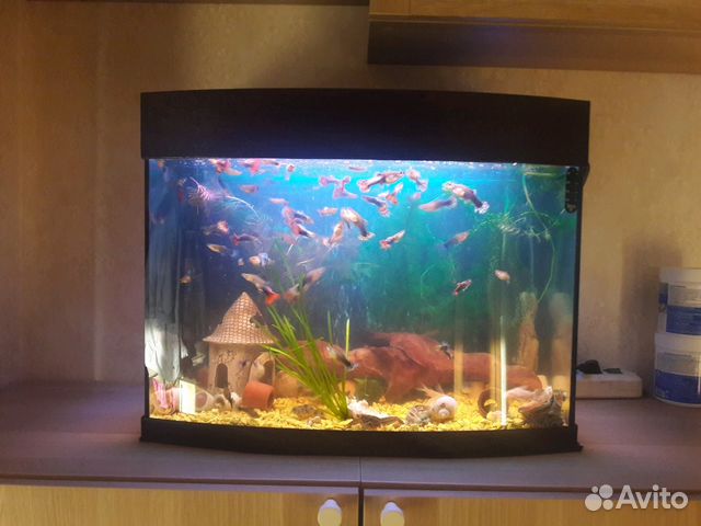 Аквариум 80 литров