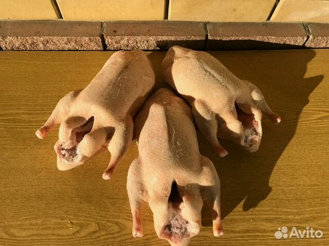 Утки тушками