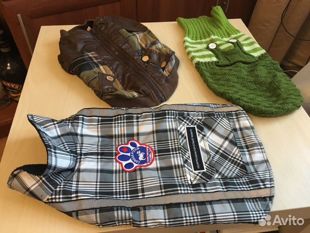 Отдам одежду для цвергпинчера