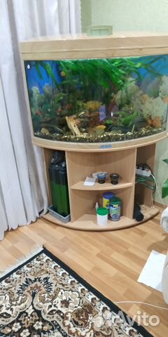 Аквариумная рыба и аква jebo R470 Угловой