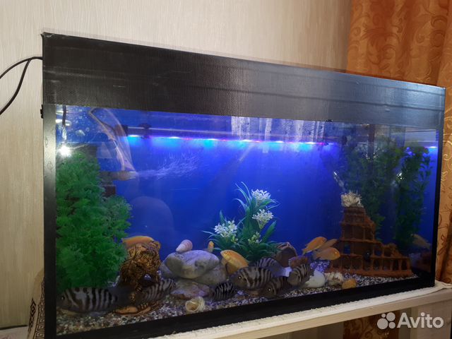 Аквариум