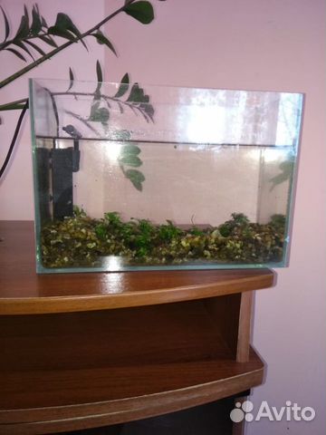 Продам аквариум