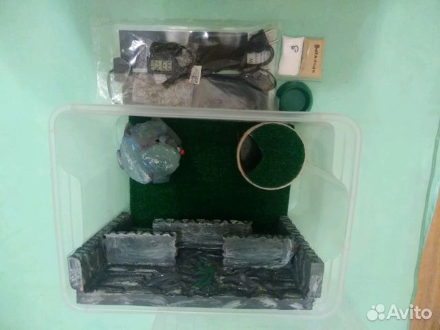 Комплект для содержания эублефара
