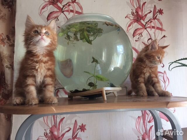 Малыши ждут родителей