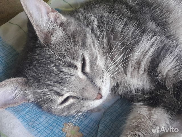 Сержик - талантливый малыш