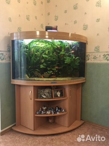 Аквариум