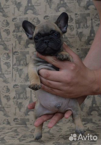 Французские бульки