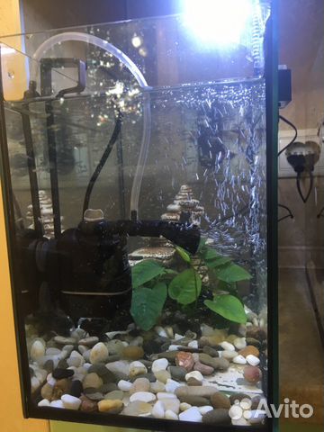 Аквариум