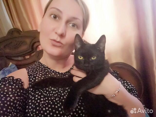 Котенок девочка 3.5 мес