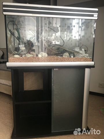 Панорамный аквариум aquatlantis, 160 литров