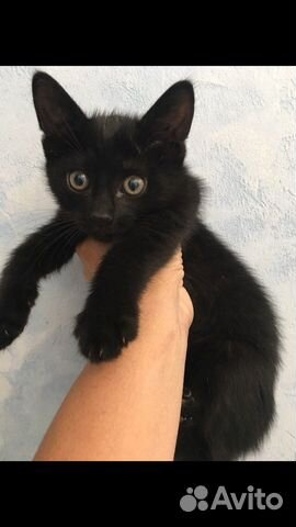 Чёрный Бумер