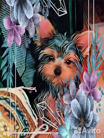 Йорики Мажорики