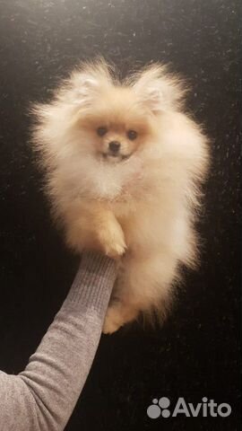 Позитивчик