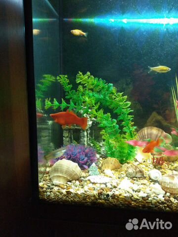 Украшение для аквариума