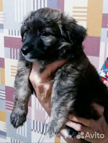 Очаровательный малыш