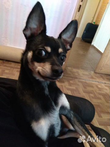 Вязка
