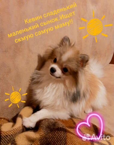 Кукольный мальчик с пальчик