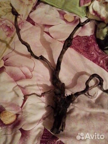 Коряга аквариумная