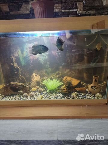 Аквариум 180л