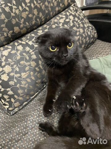 Кошка (вязка )