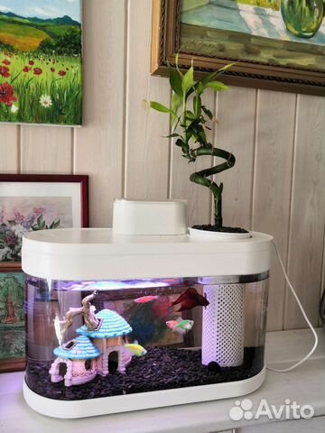 Аквариум xiaomi + электрокормушка + рыбки
