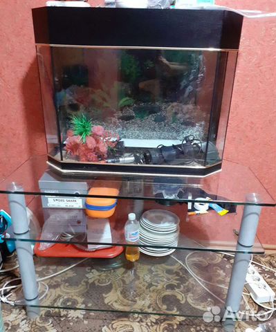Аквариум и стол