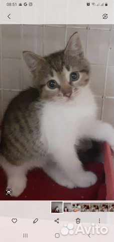 Крошечка подарите жизнь ребёнку