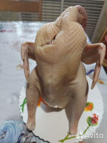 Куры суповые