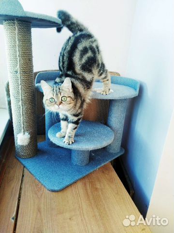 Мраморная золотая девочка