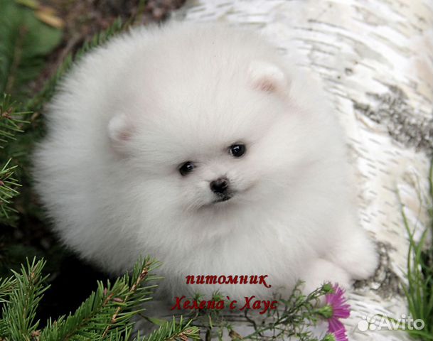 Кукольная крошка