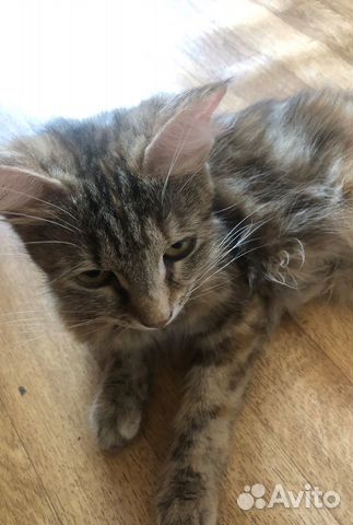 Люди, пожалуйста, не останьтесь равнодушными