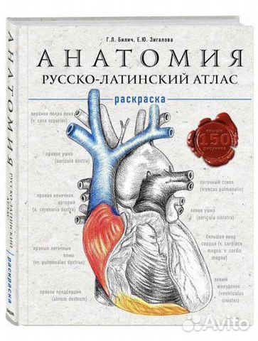 Атлас по анатомии купить в Ставрополе | Хобби и отдых | Авито