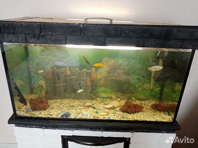 Аквариум с рыбками и тумбой 200л