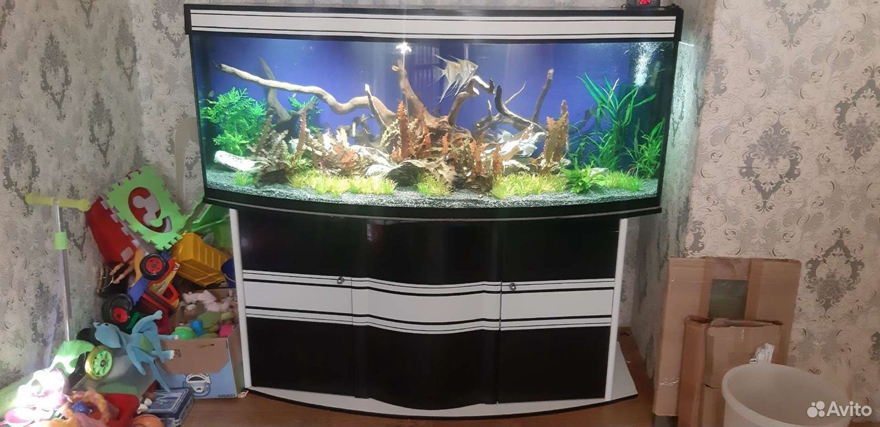 Аквариум 550л